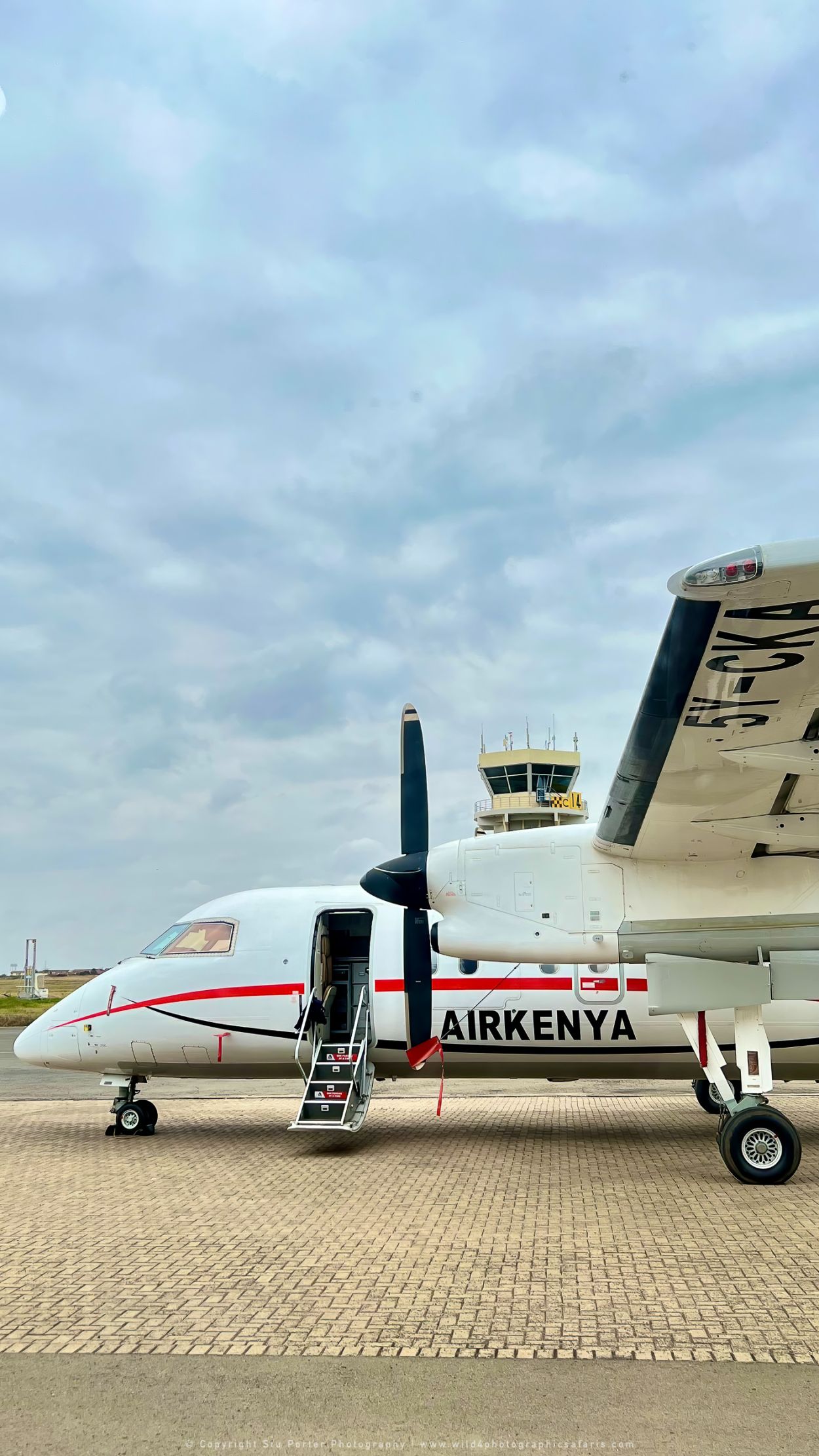 Big Cats of the Masai Mara | Photographic Safari Report | August 2022