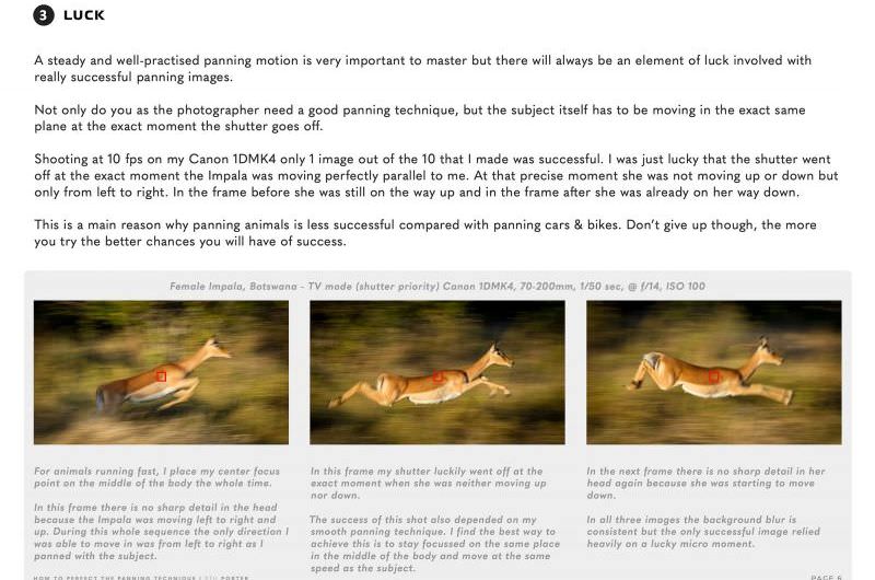 WILD4 African Photographic Safaris & Tours | Small Group Photo Specialists